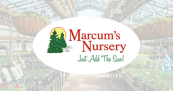 Marcum's Nursery Text Club | Sign Up!