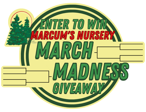 Marcum's Nursery March Madness Giveaway!