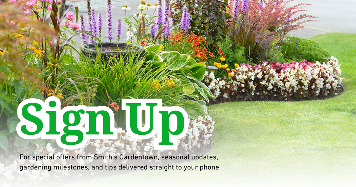 Sign-up for Smith's Gardentown Texts